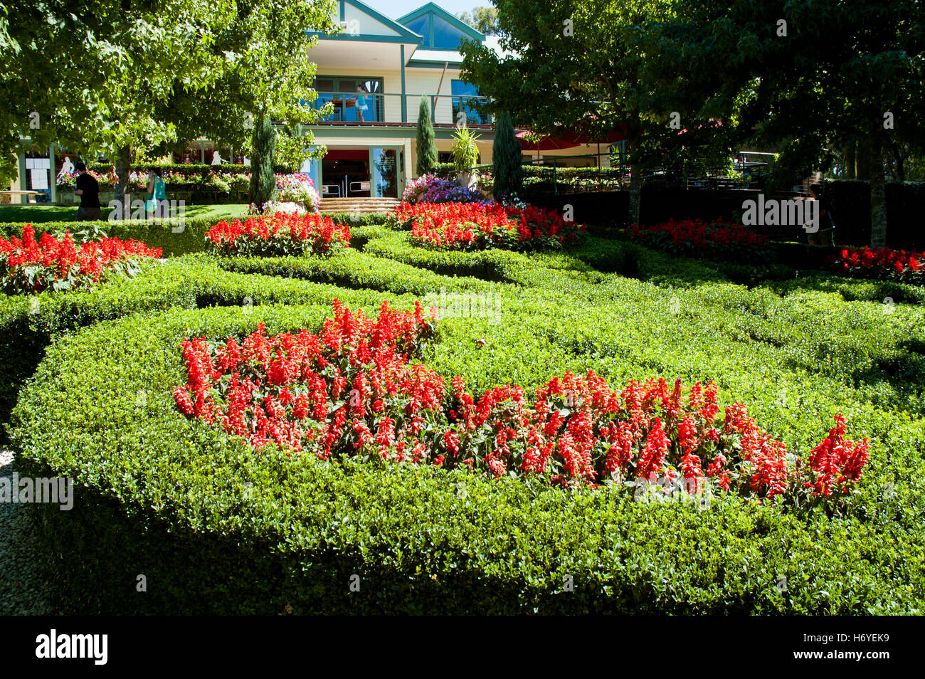 enchanted maze garden. arthurs seat. mornington peninsula. victoria ...
