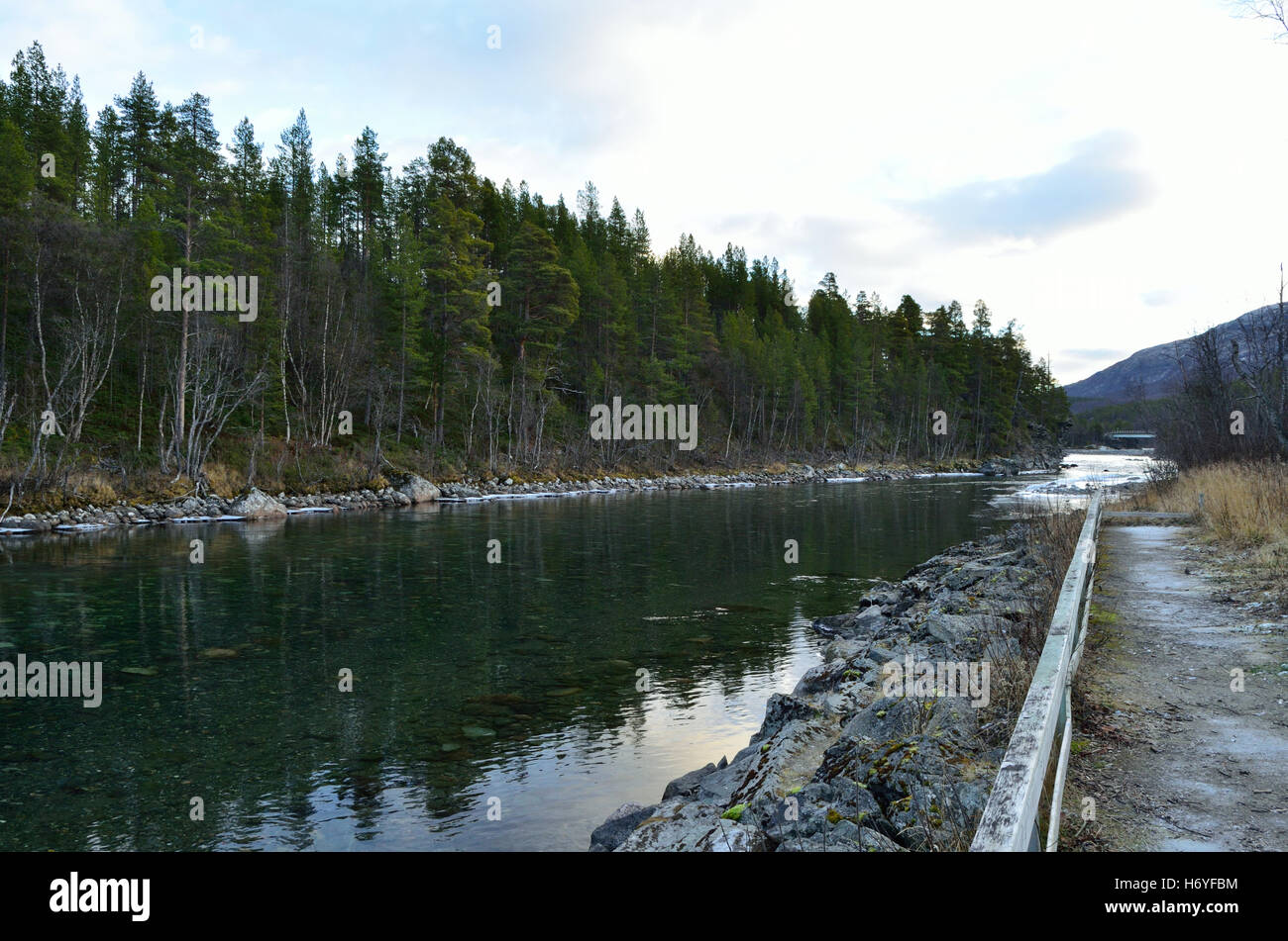 long river with parallel forest landscape Stock Photo - Alamy