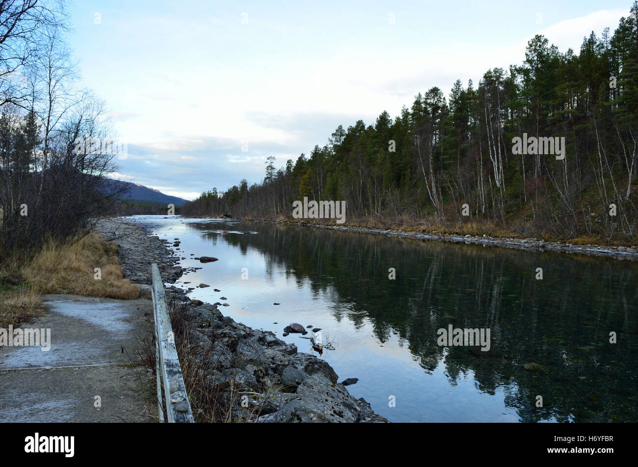 long river with parallel forest landscape Stock Photo - Alamy