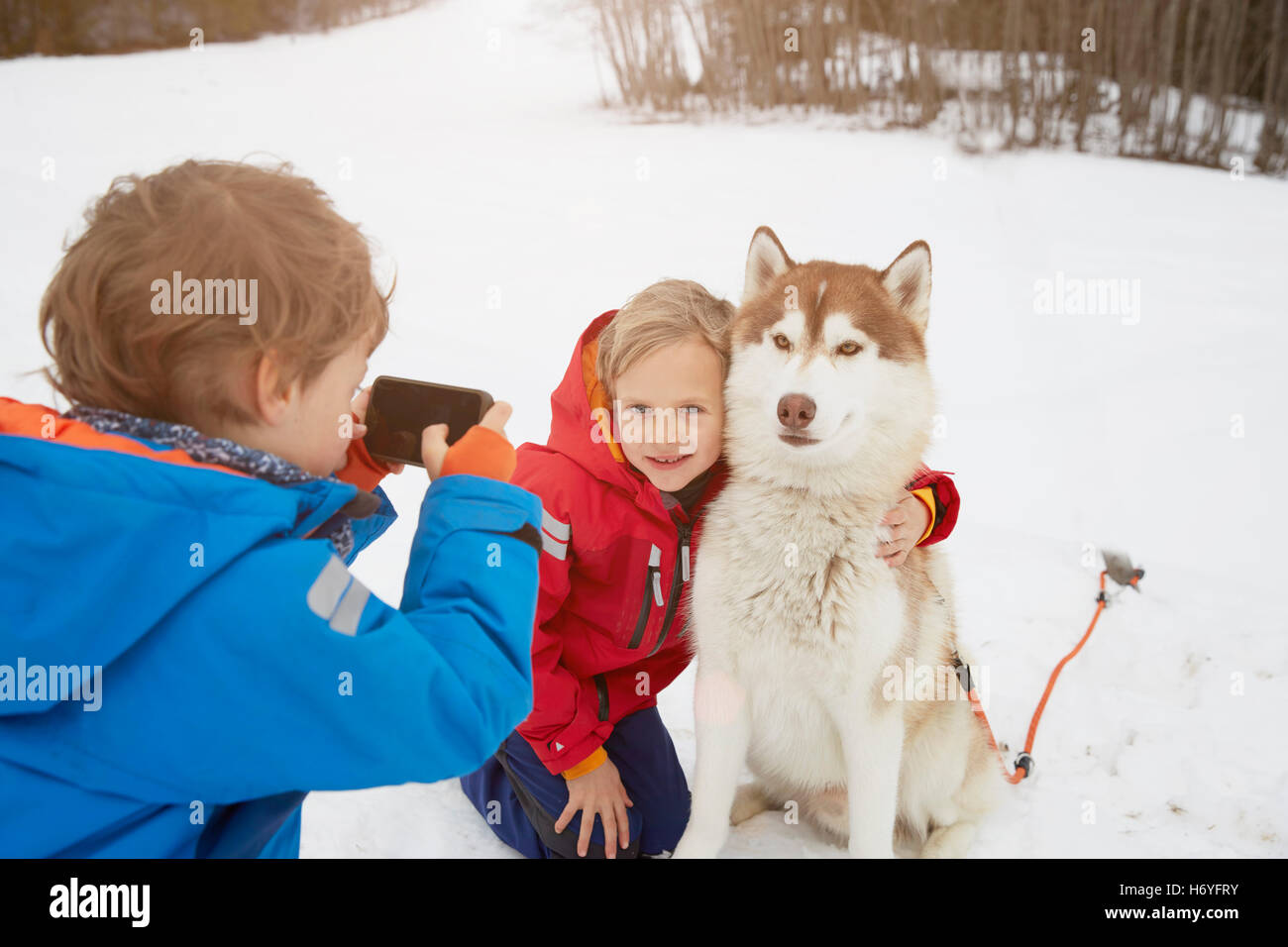 Boy taking smartphone photo of brother and husky in snow, Elmau ...