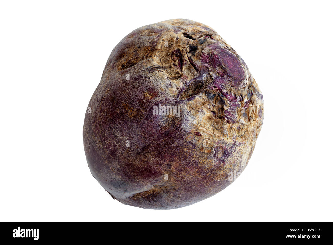 beet root isolated on white background. objects with clipping paths ...