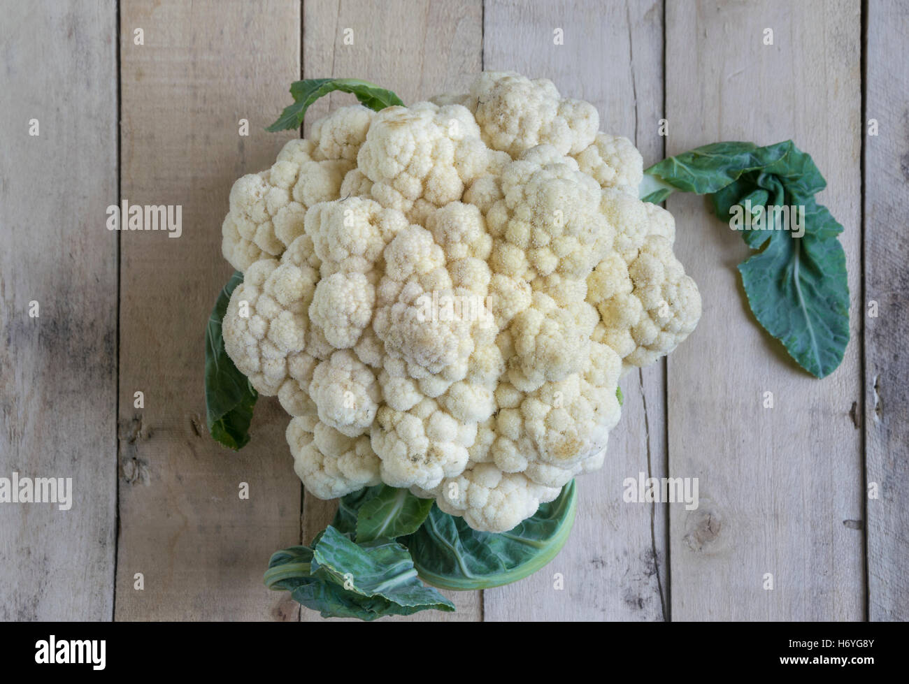 Whole fresh cauliflower florets hi-res stock photography and images - Alamy