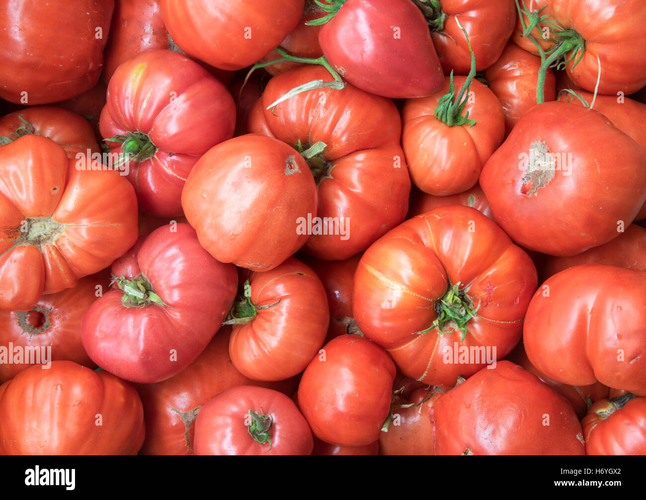 A group of fresh red tomatoes, full frame Stock Photo - Alamy