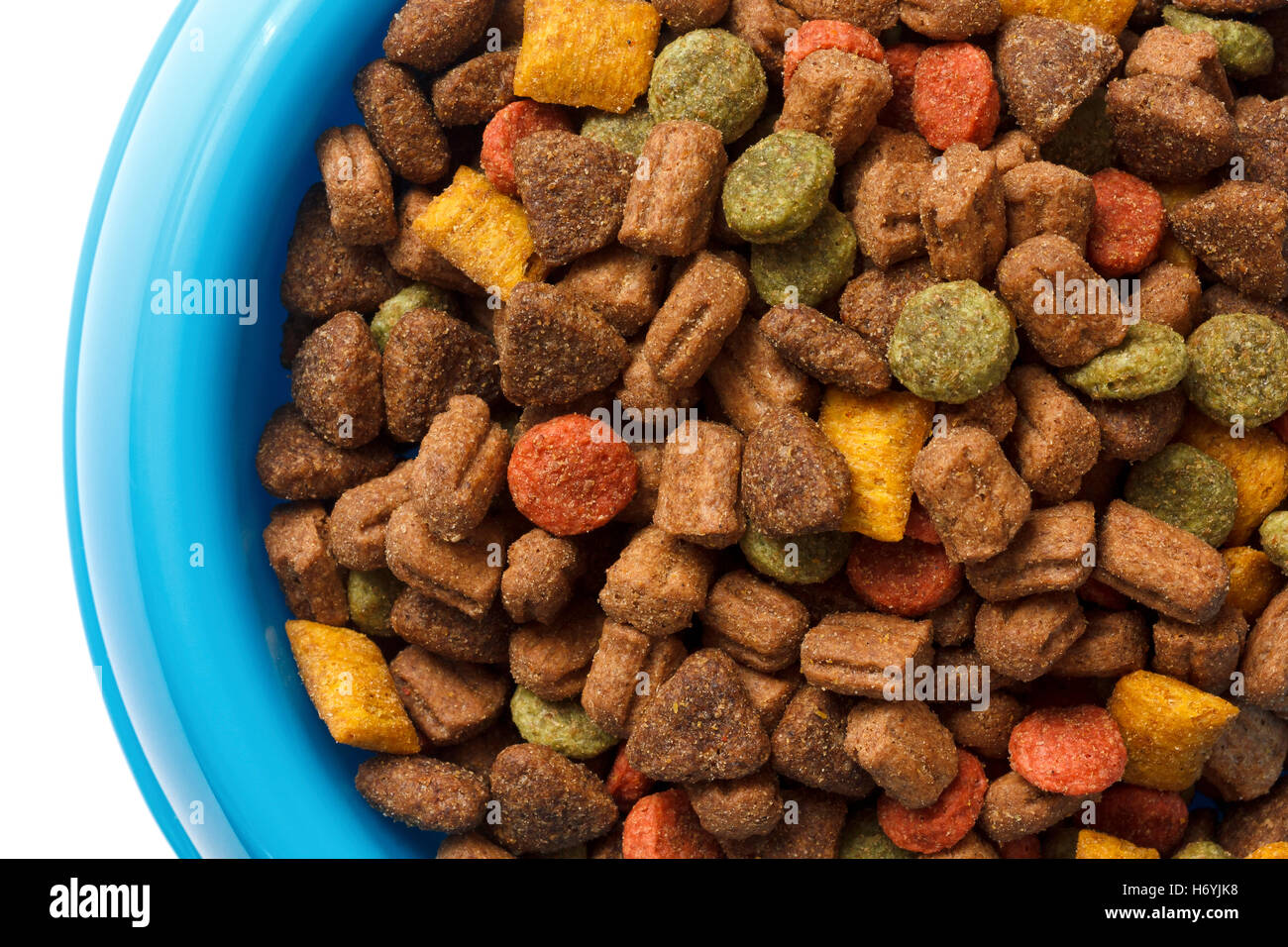 Dry cat food in blue bowl, detail on white from above Stock Photo - Alamy