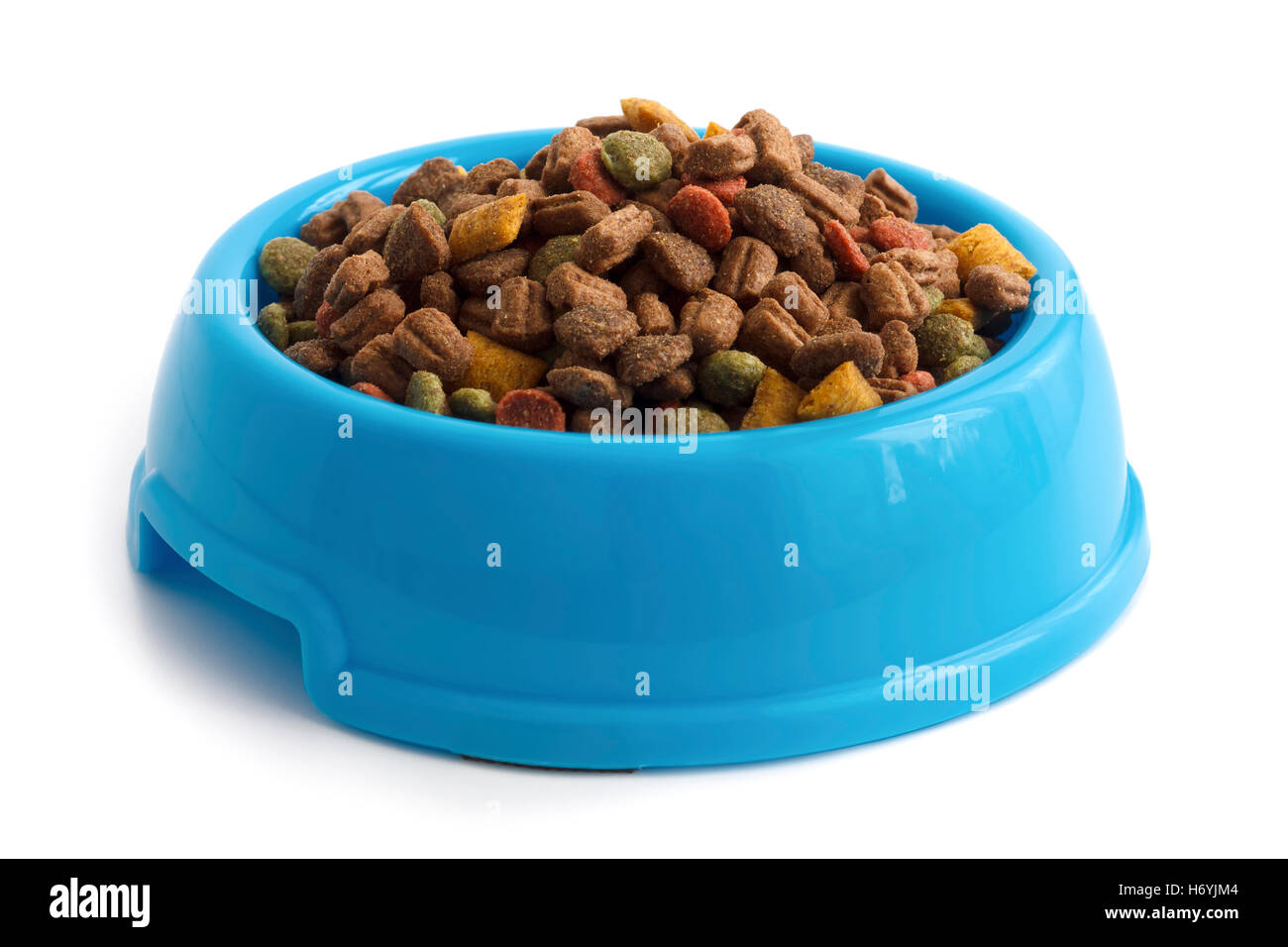 Dry cat food in blue bowl isolated on white Stock Photo - Alamy