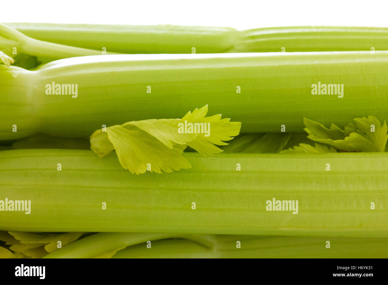 Celery stems close up Stock Photo - Alamy