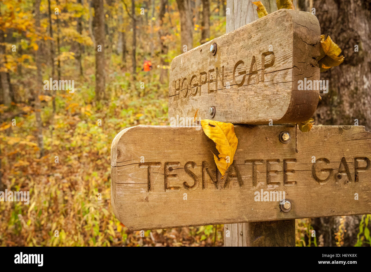 Appalachian Trail hiker and trail marker for Hogpen Gap and Tesnatee ...