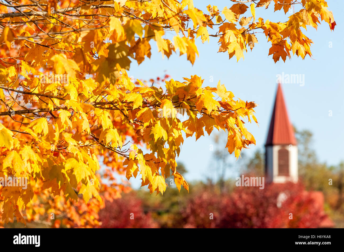 Vibrant Autumn color in the Alpine Bavarian style village of Helen ...