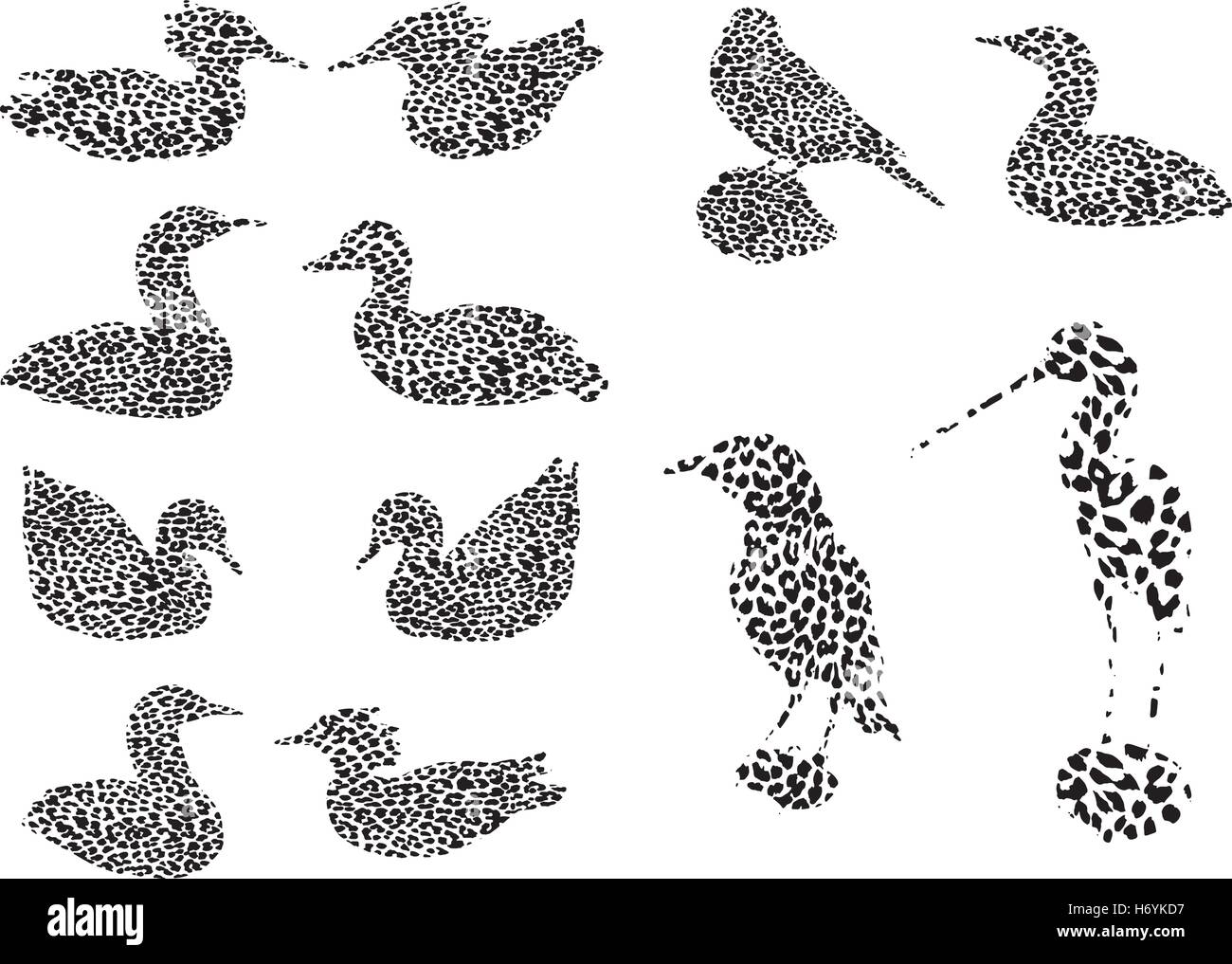 Leopard Print Illustration Logo Vectors of Birds and Ducks Stock Vector ...