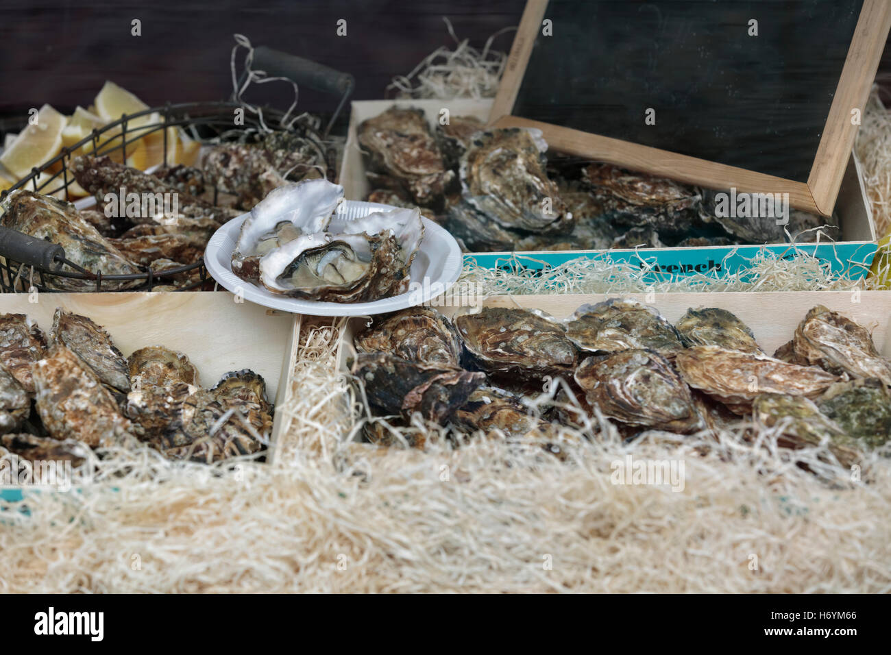Traditional fish market stall full of fresh shell oysters in boxes ...