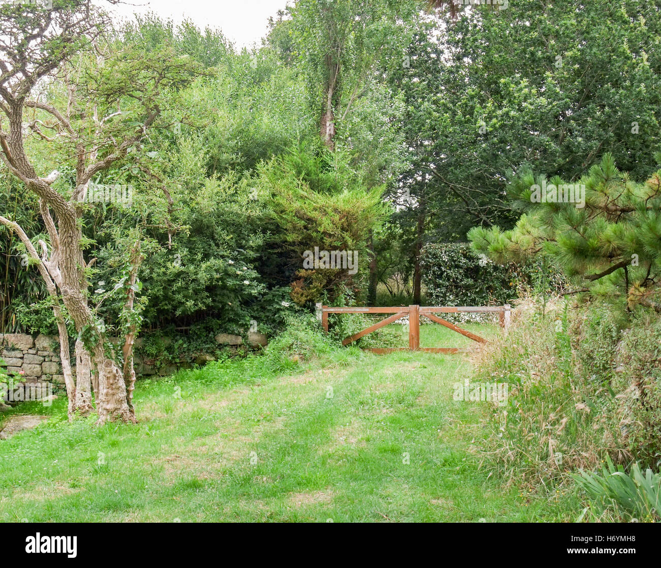 Rural outdoor scenery hi-res stock photography and images - Alamy