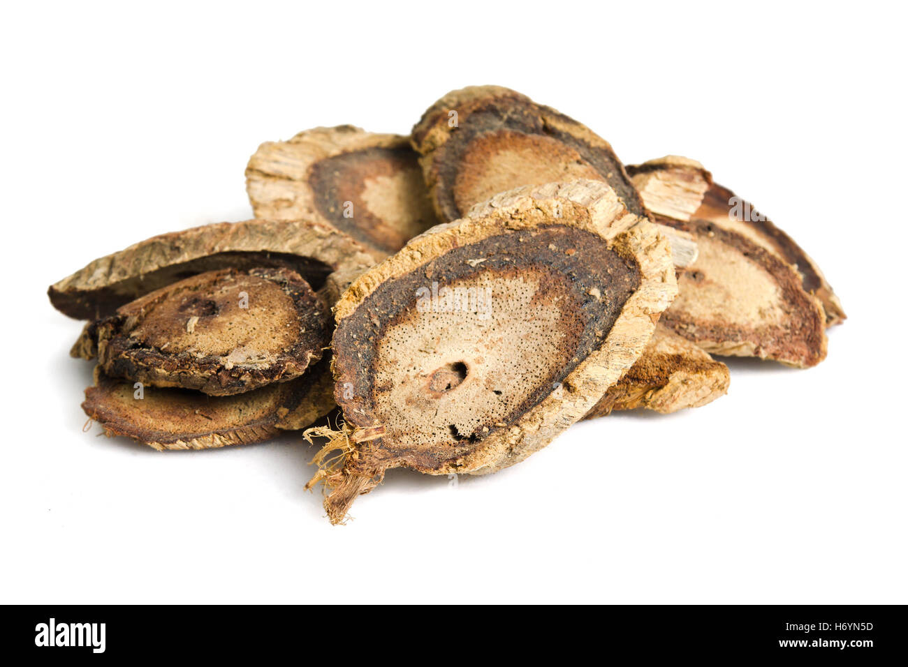 Butea superba Roxb (Also named as red Kwao Krua, Leguminosae Butea ...