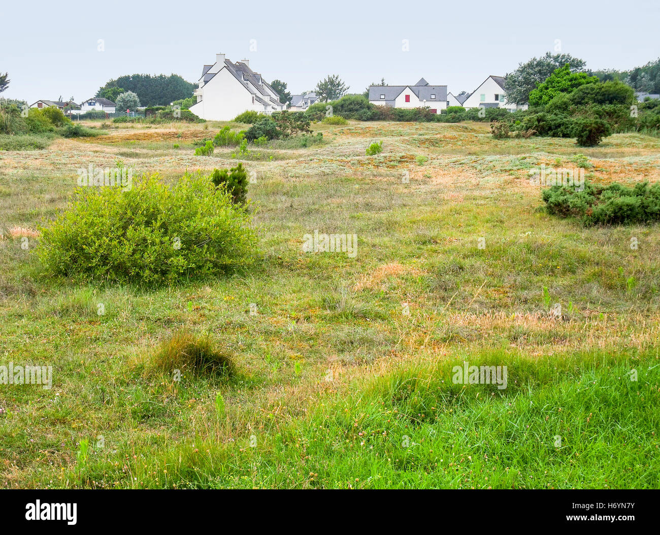 landscape detail seen in Brittany, France Stock Photo - Alamy