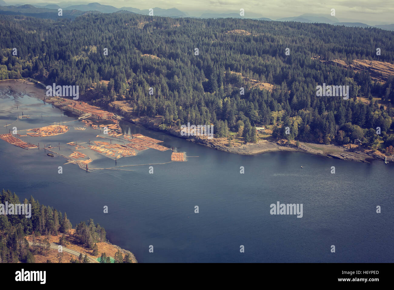 Logging industry canada logs hi-res stock photography and images - Alamy
