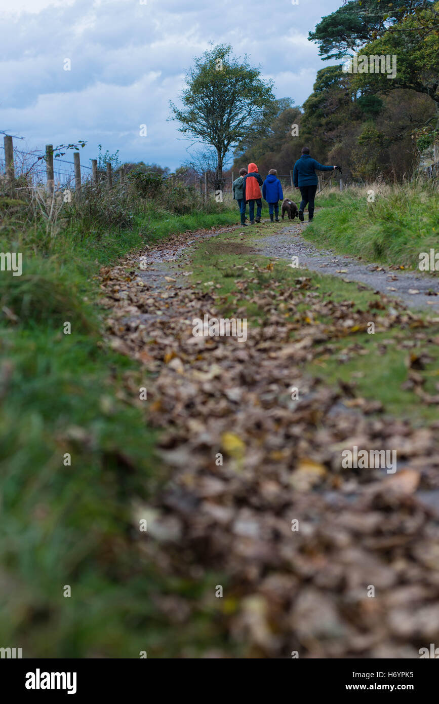 Family with dog hi-res stock photography and images - Alamy
