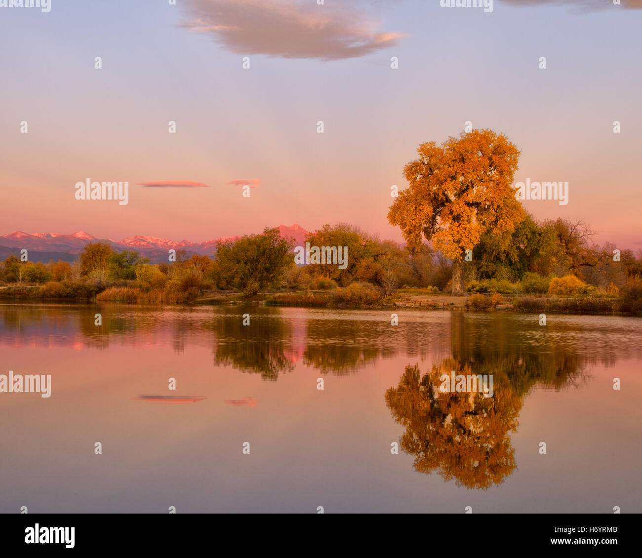 Sunrise with water and tree hi-res stock photography and images - Alamy