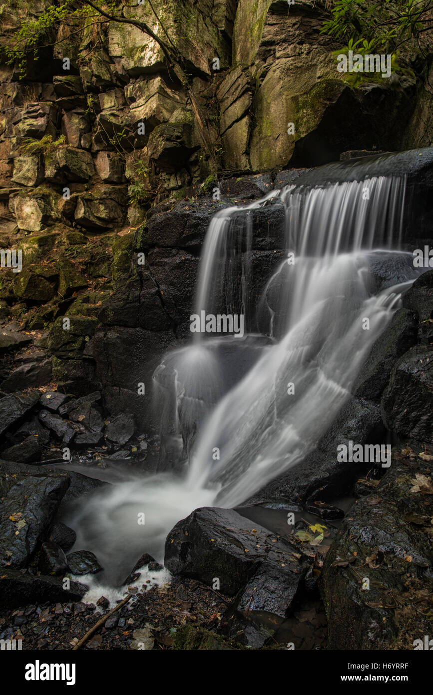 Waterfall in forest landscape long exposure flowing through trees and ...