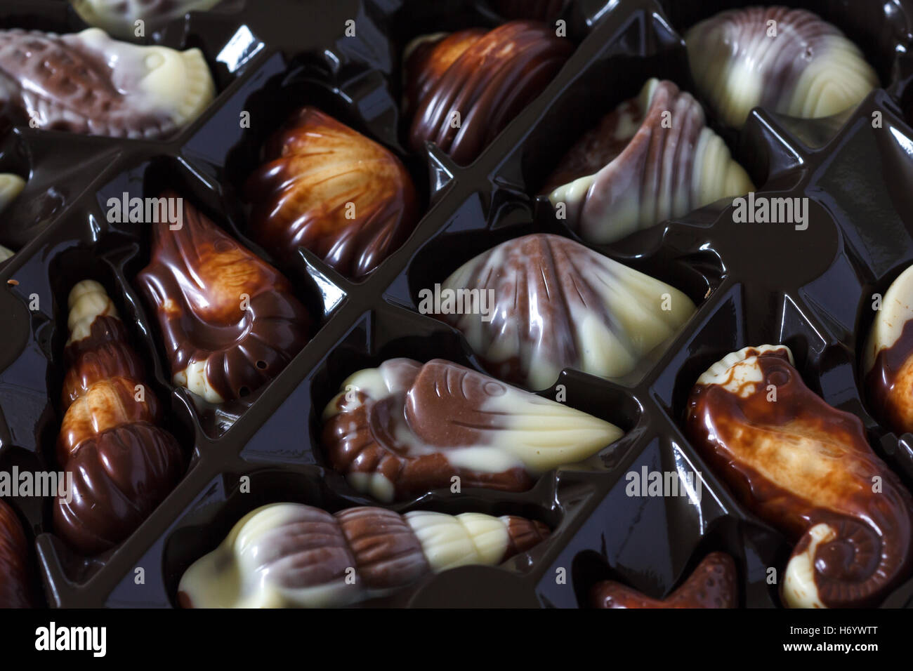 Belgian chocolate seashells hi-res stock photography and images - Alamy
