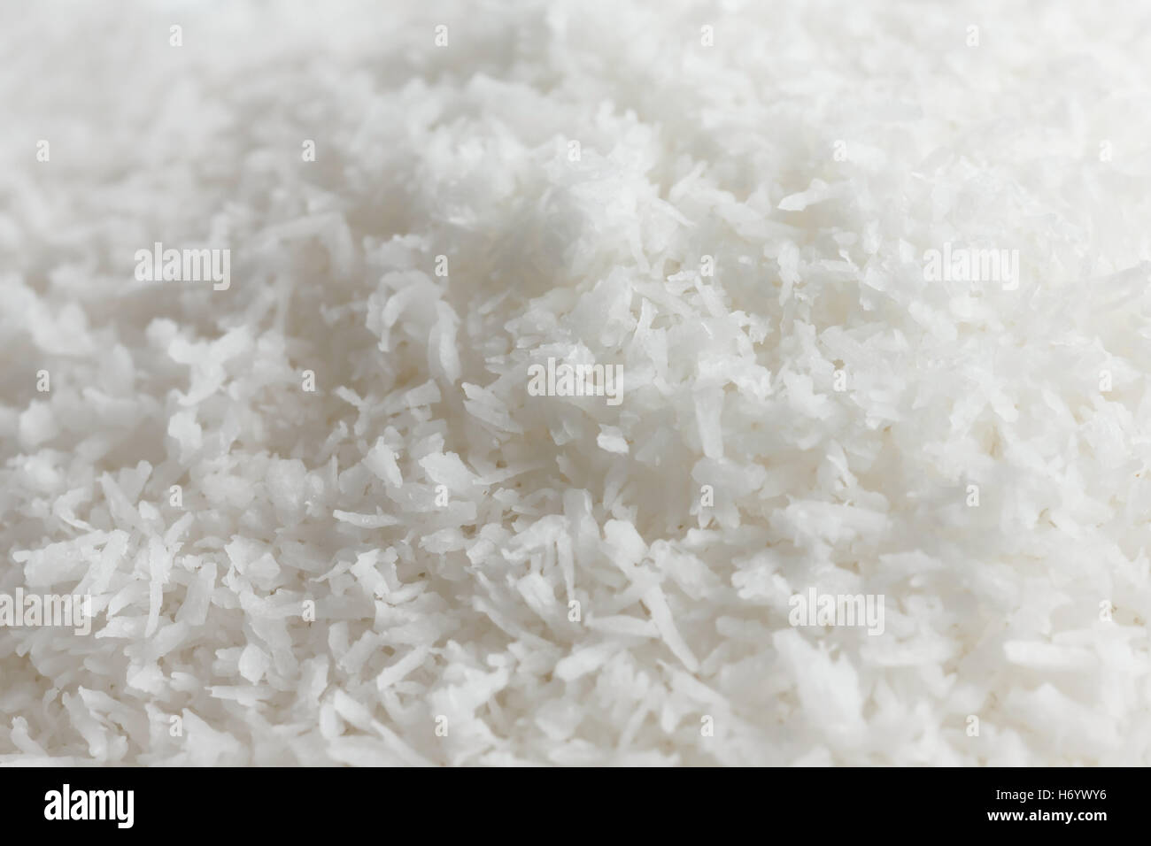 Abstract coconut hi-res stock photography and images - Alamy