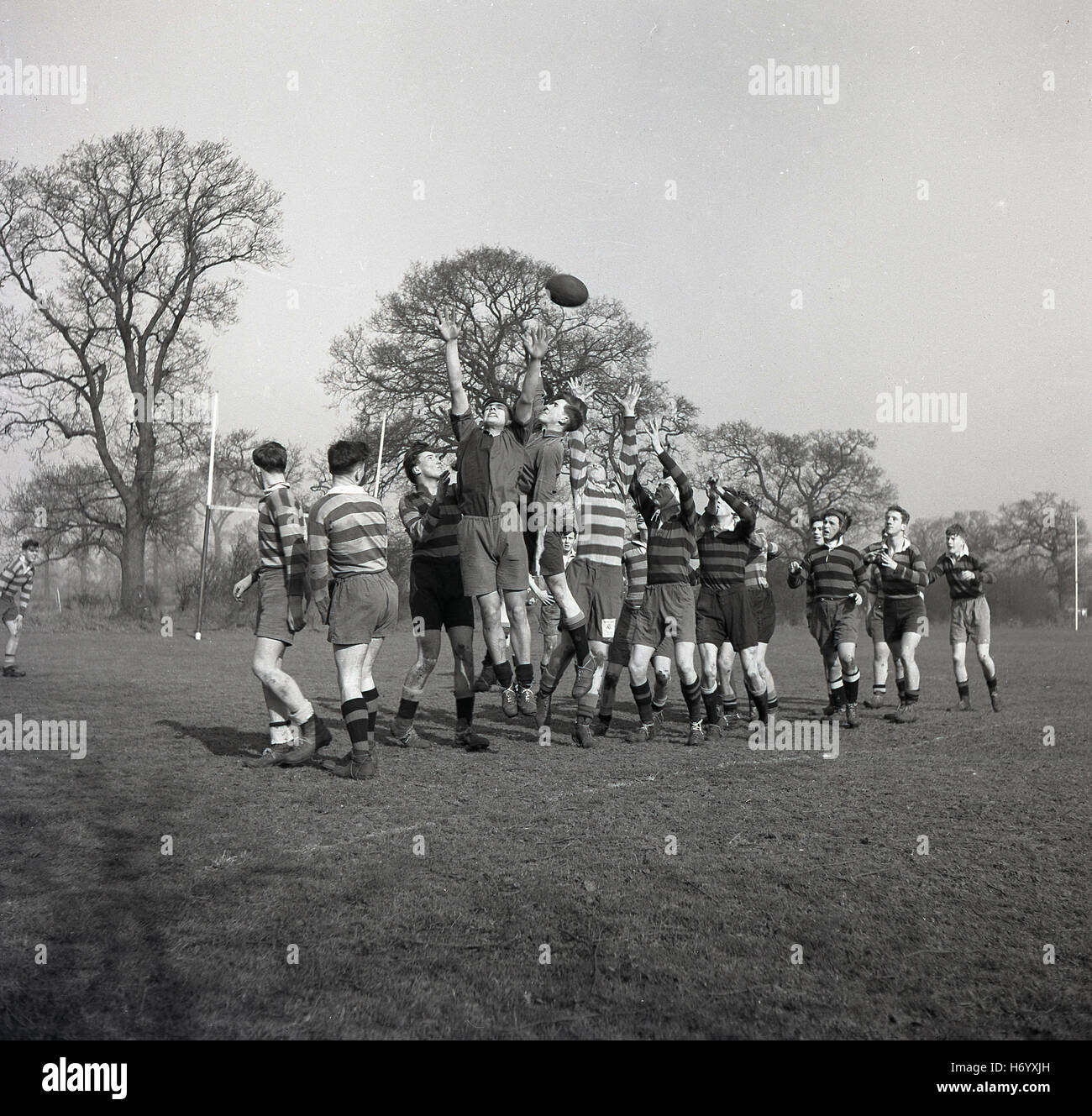 1950s rugby hi-res stock photography and images - Alamy