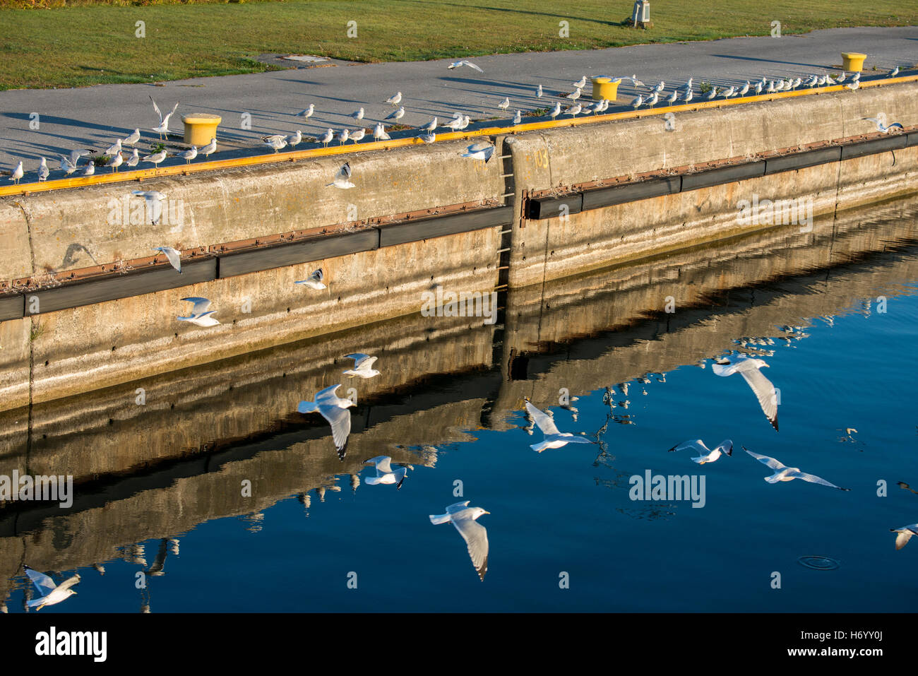 USA & Canada border. Saint Lawrence Seaway, a system of locks, canals ...
