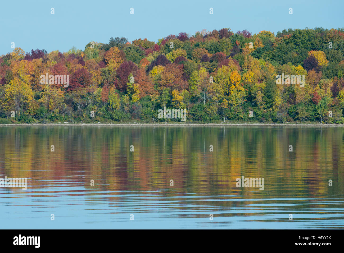 Us canada border forest hi-res stock photography and images - Alamy