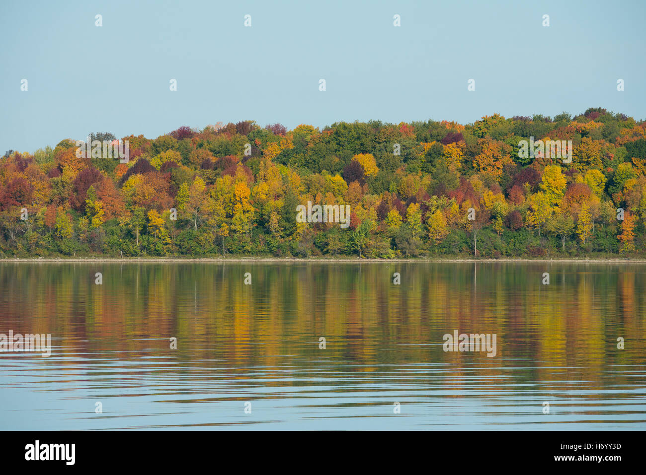 Us canada border forest hi-res stock photography and images - Alamy