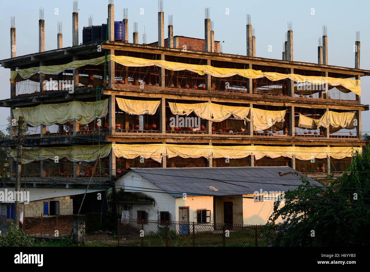 Broiler chicken house hi-res stock photography and images - Alamy