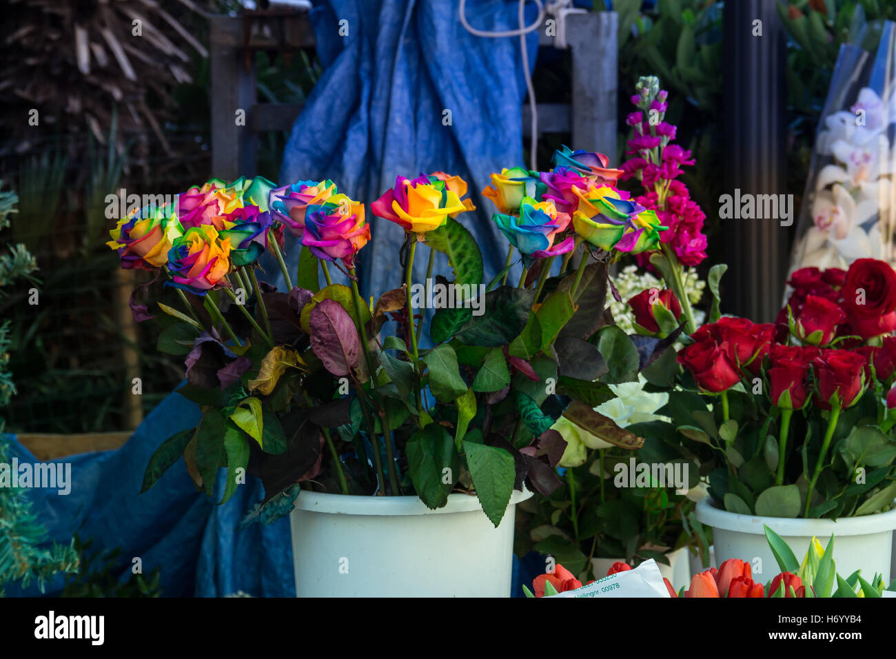 Flower shop italy hi-res stock photography and images - Alamy