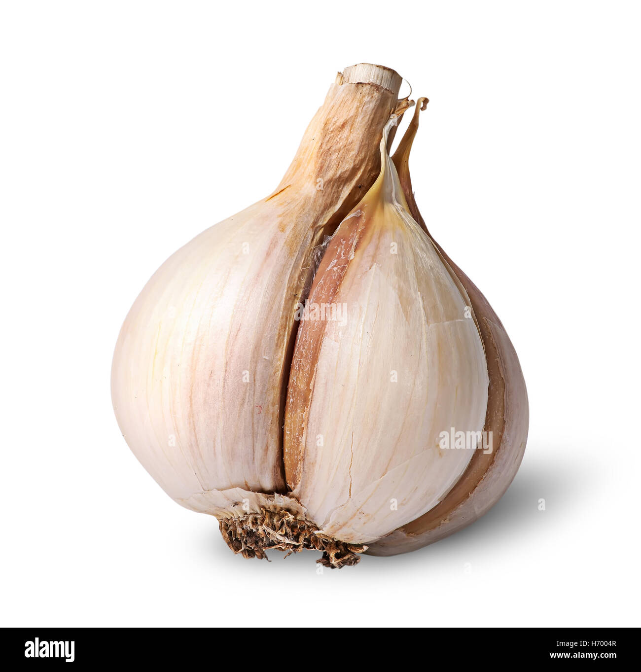 Single garlic bulb isolated on white background Stock Photo - Alamy