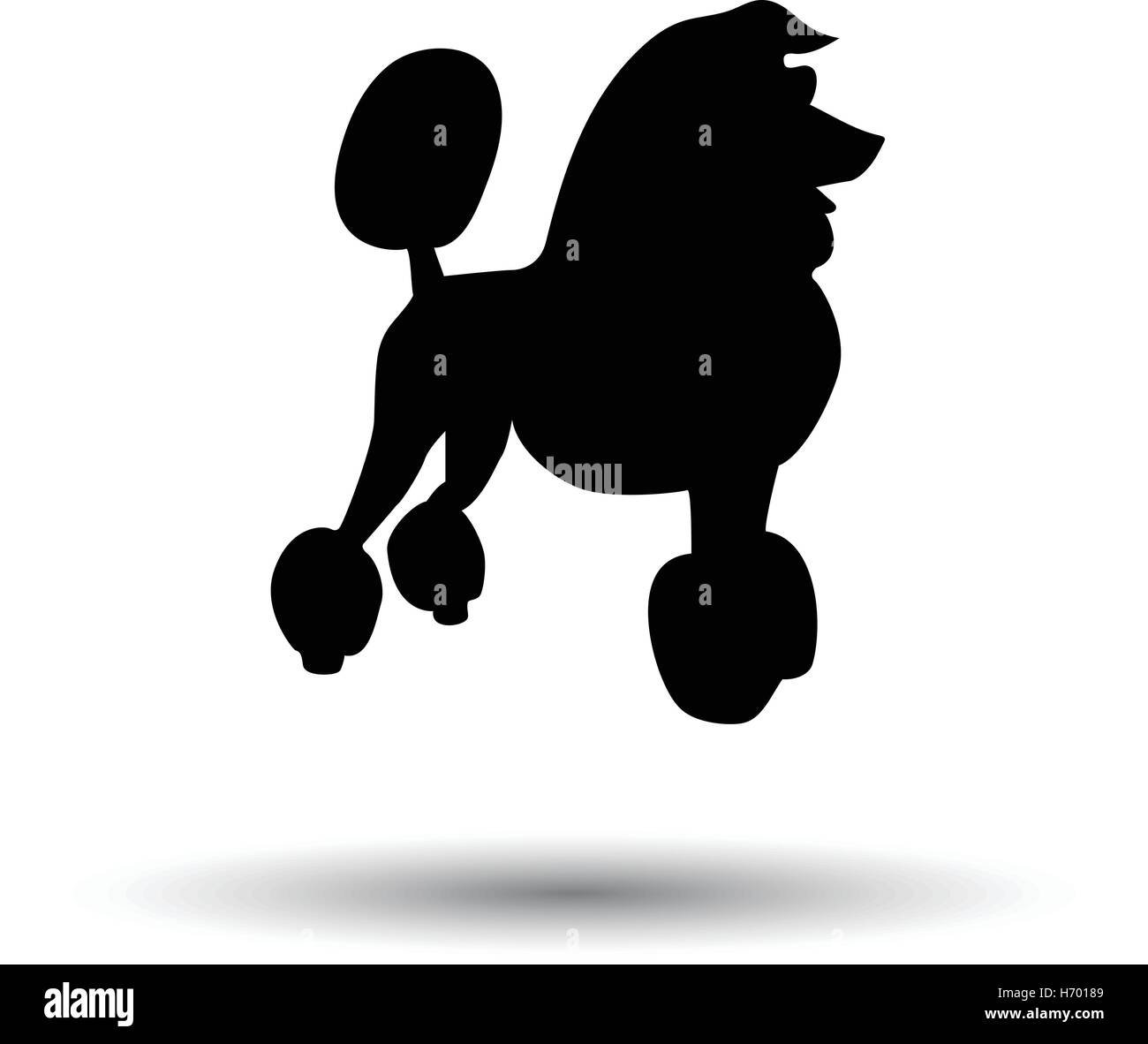 Poodle icon. Black background with white. Vector illustration Stock ...