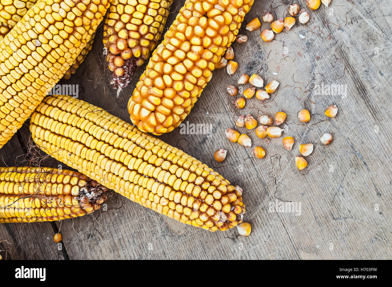 Group of corn hi-res stock photography and images - Alamy