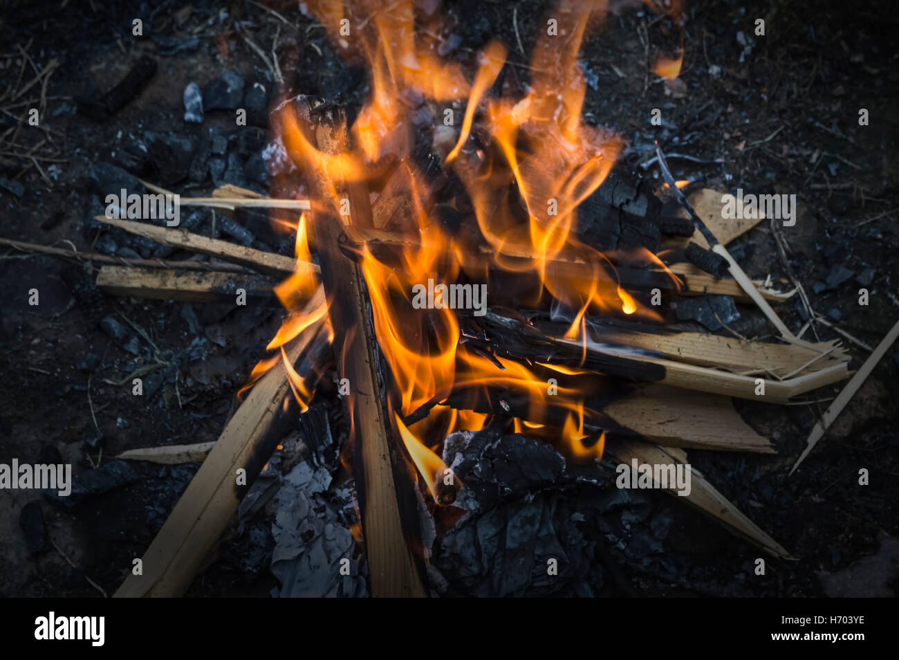 Flames of campfire in the woods Stock Photo - Alamy
