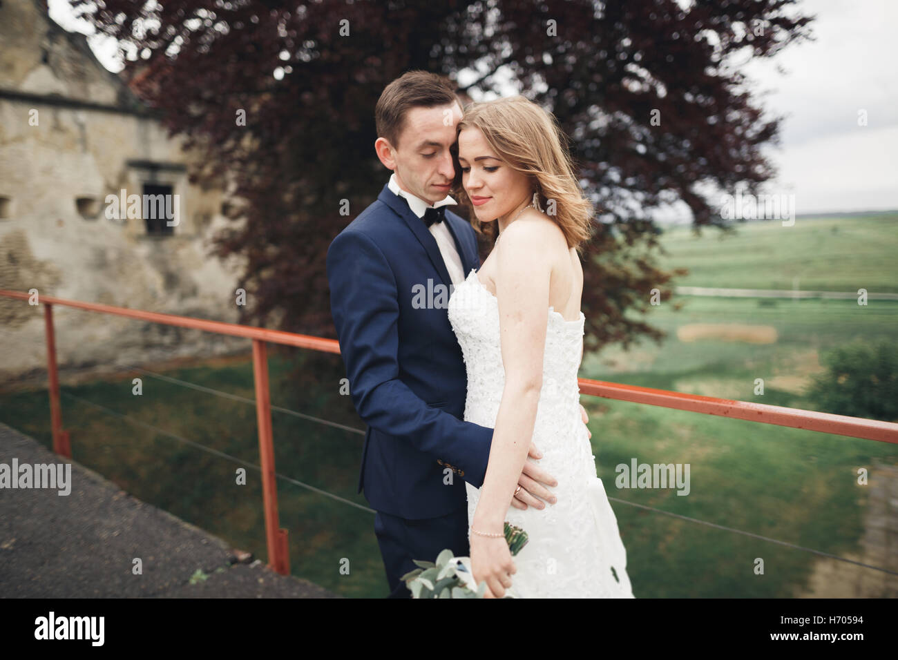 Happy wedding couple hugging and smiling each other on background old ...