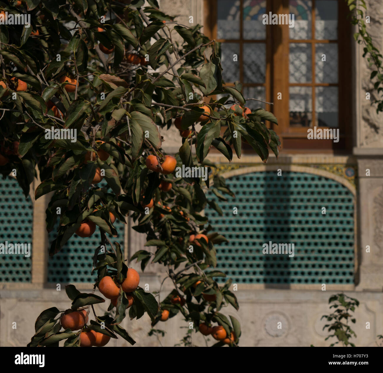 Persimmon house hi-res stock photography and images - Alamy