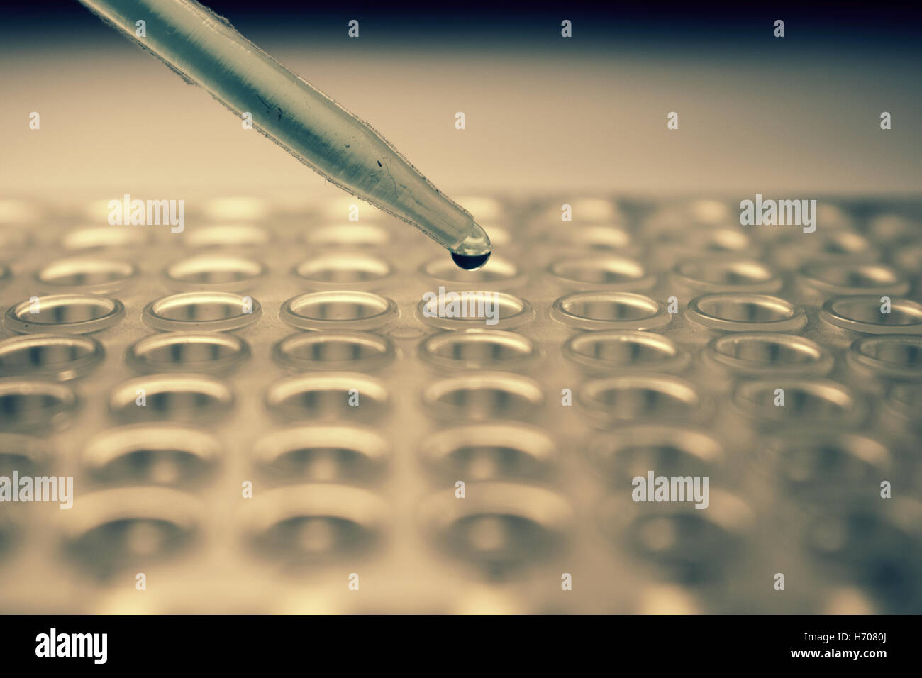 Pipette dropper filling PCR plate with research liquid, Science Pipette ...