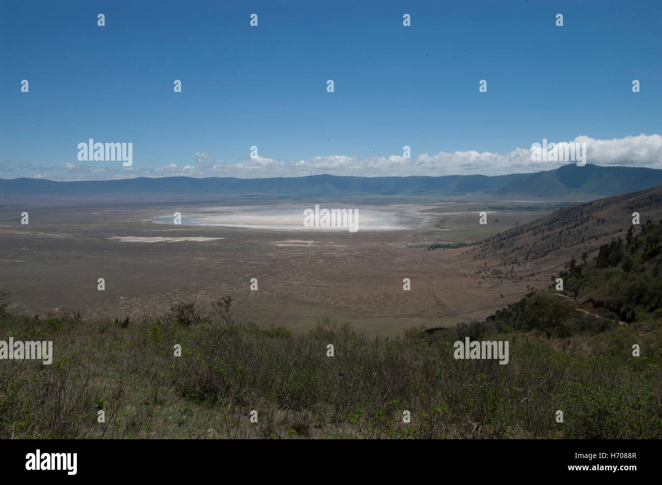 Seneto descend hi-res stock photography and images - Alamy
