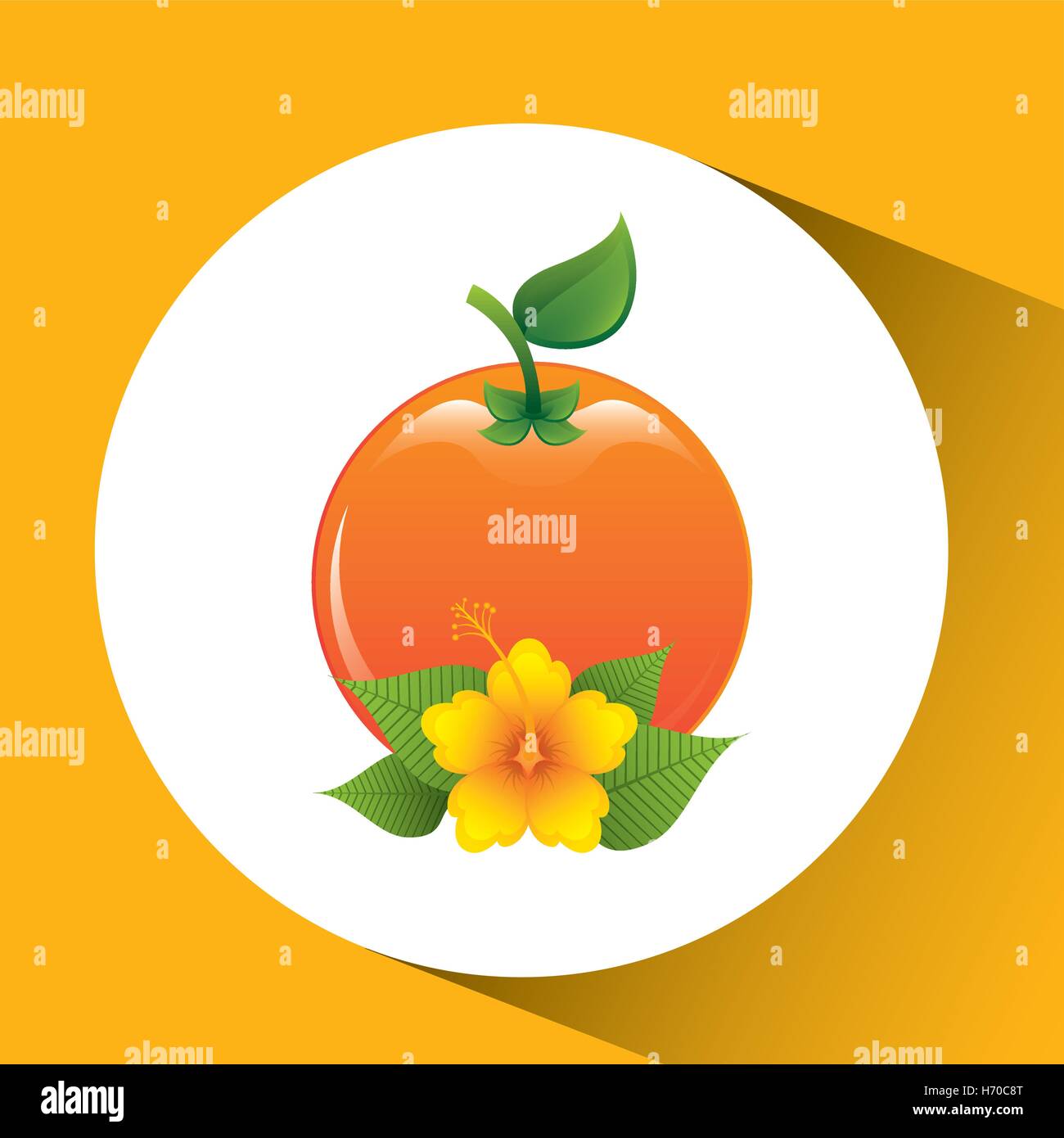 Bright orange hibiscus flower Stock Vector Images - Alamy