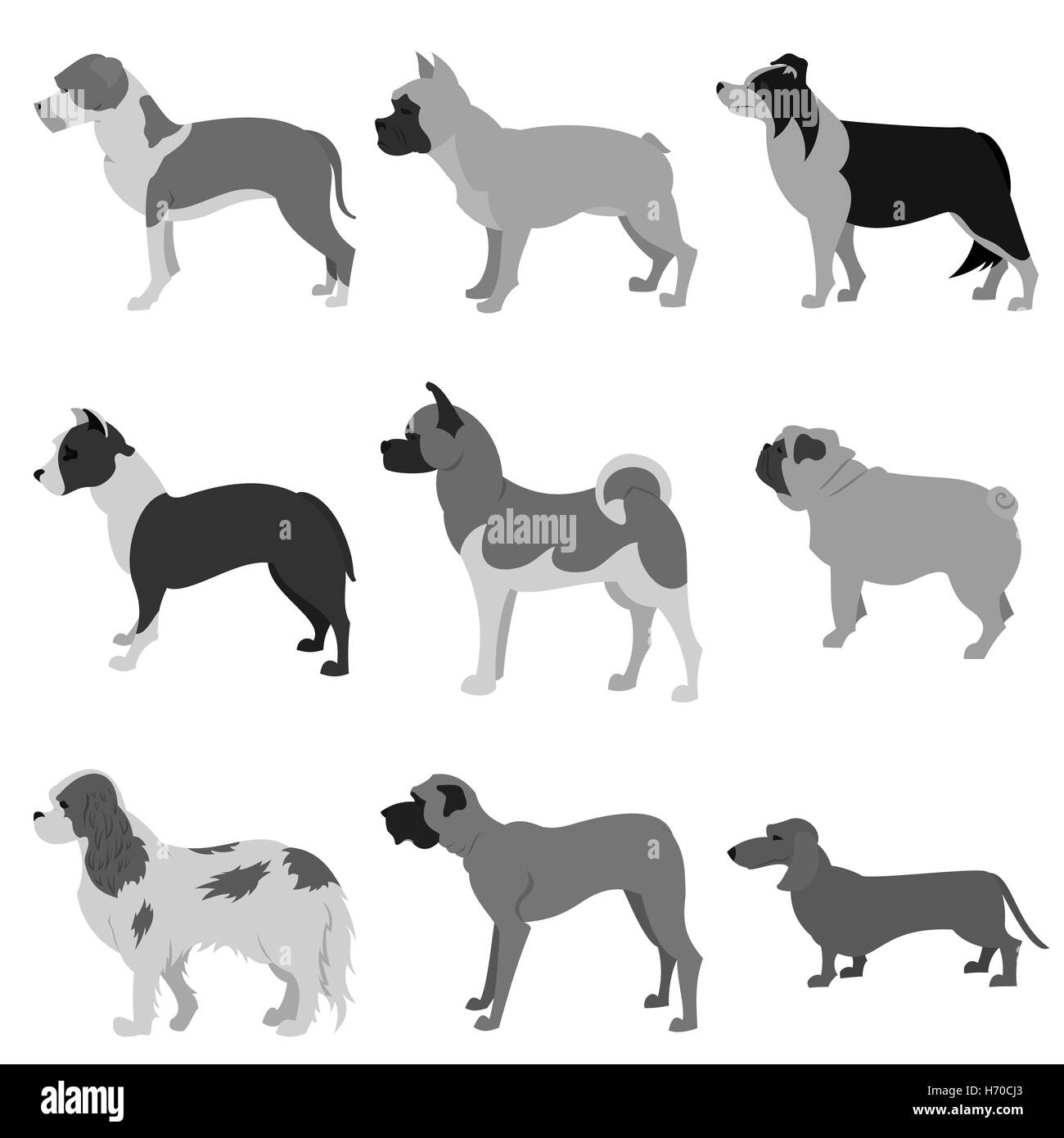 Dogs flat set Stock Photo - Alamy