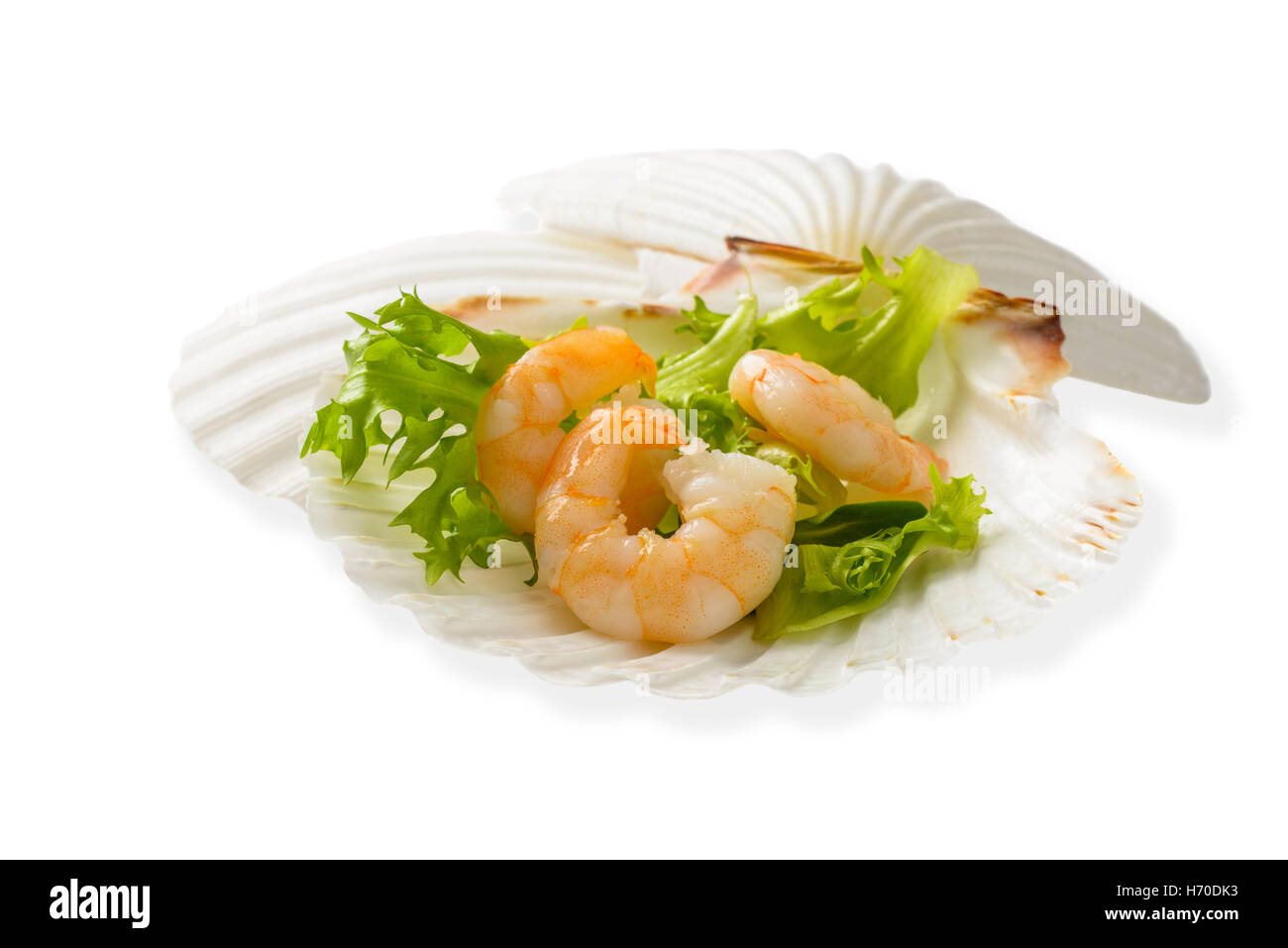 Prawn seafood appetizer served in scallop shell on a white background ...
