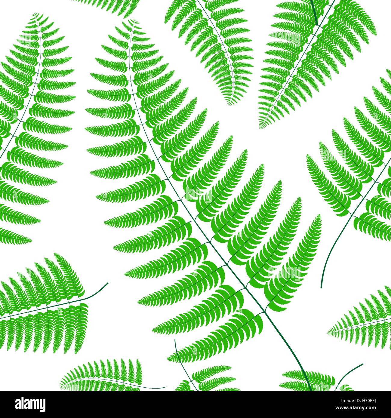 Fern frond silhouettes seamless pattern. Vector summer illustration ...