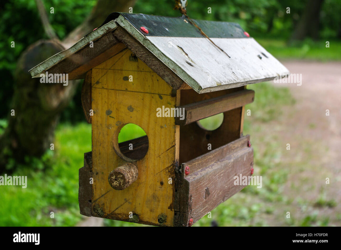 yello bird house in a lush garden Stock Photo - Alamy