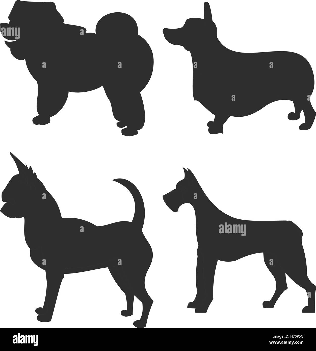 the square picture small group of black shadows of four thoroughbred ...