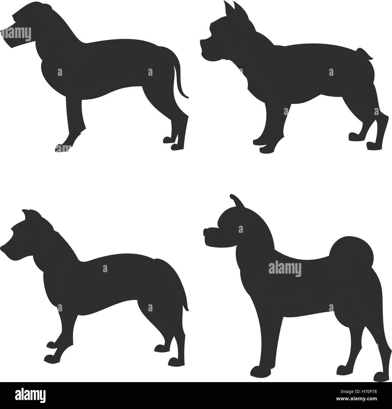 the square picture small group of black shadows of four thoroughbred ...