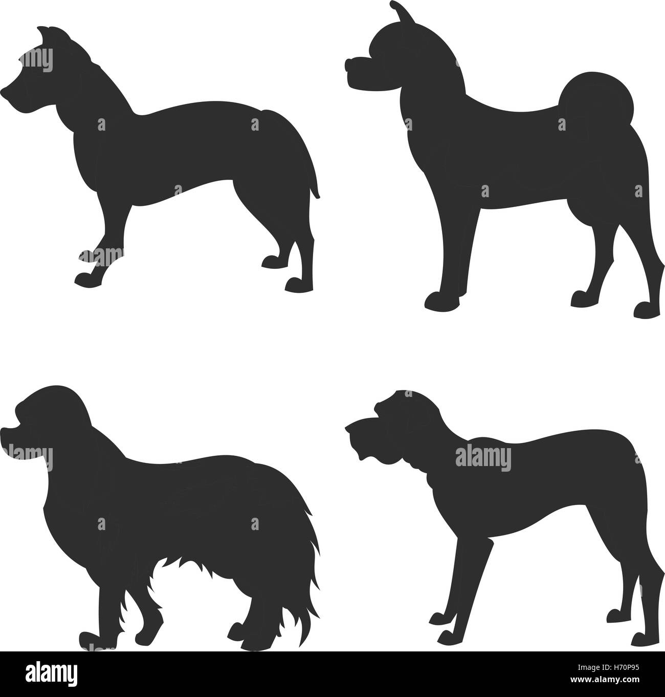 the square picture small group of black shadows of four thoroughbred ...