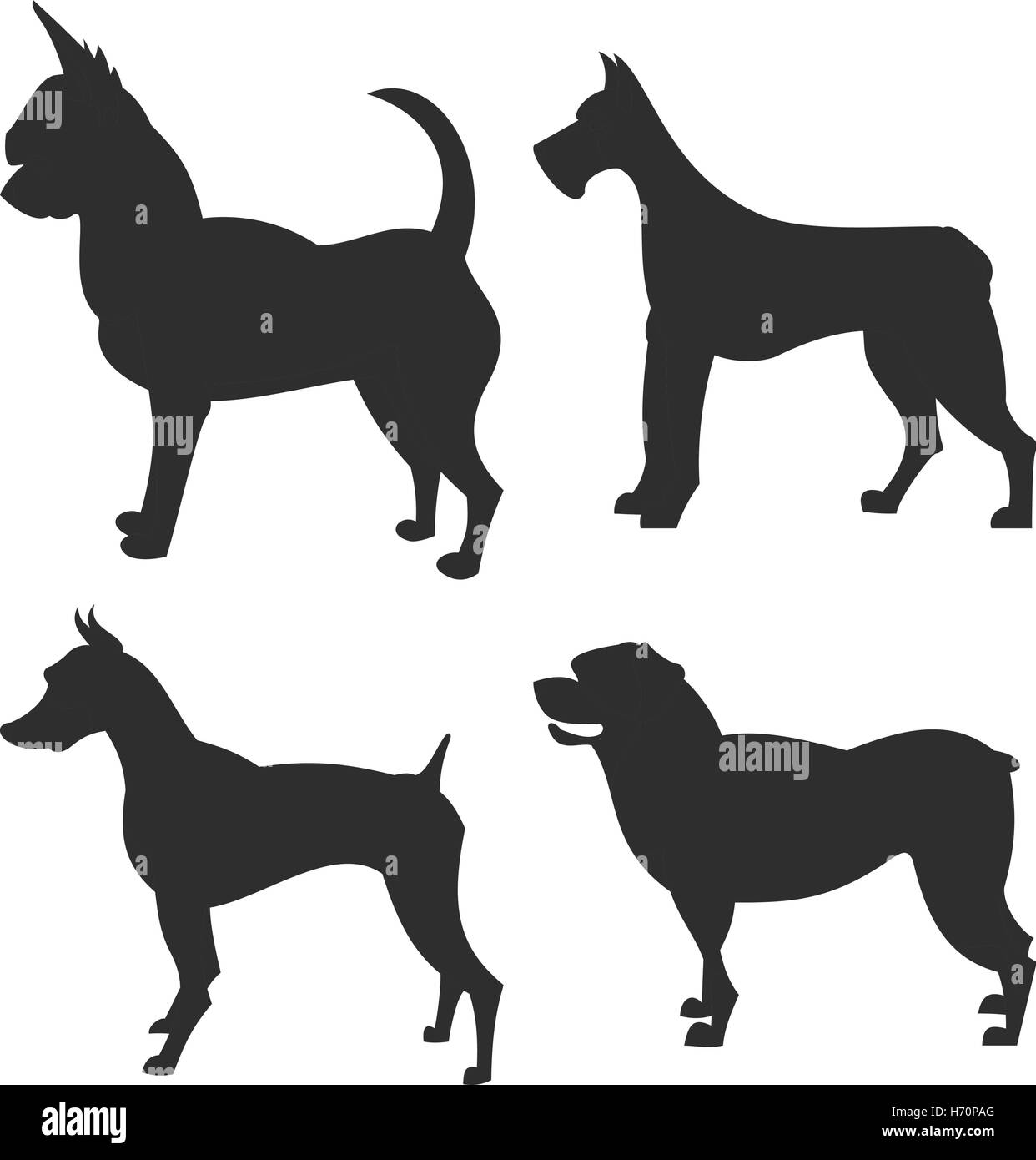 the square picture small group of black shadows of four thoroughbred ...