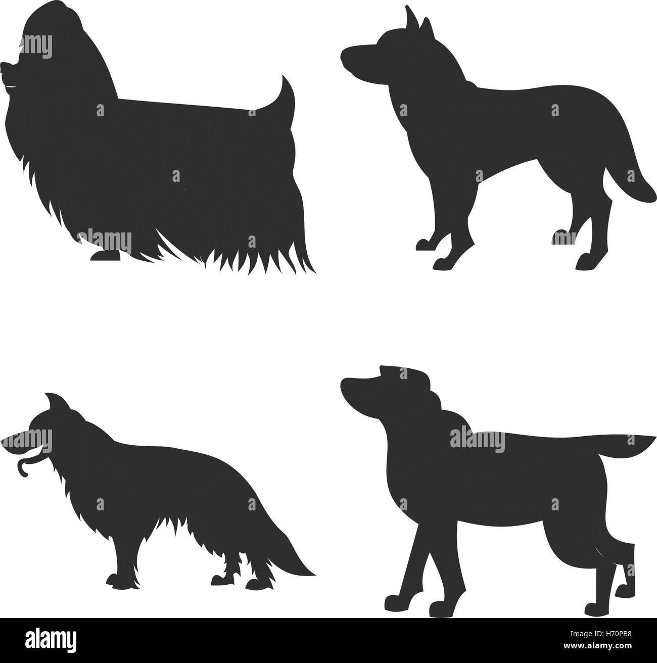 the square picture small group of black shadows of four thoroughbred ...