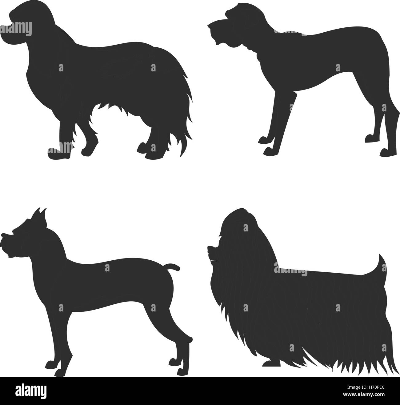 the square picture small group of black shadows of four thoroughbred ...