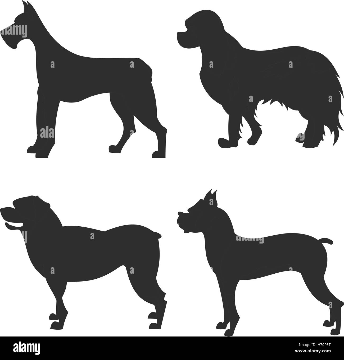 Isoleted vector vectors hi-res stock photography and images - Alamy