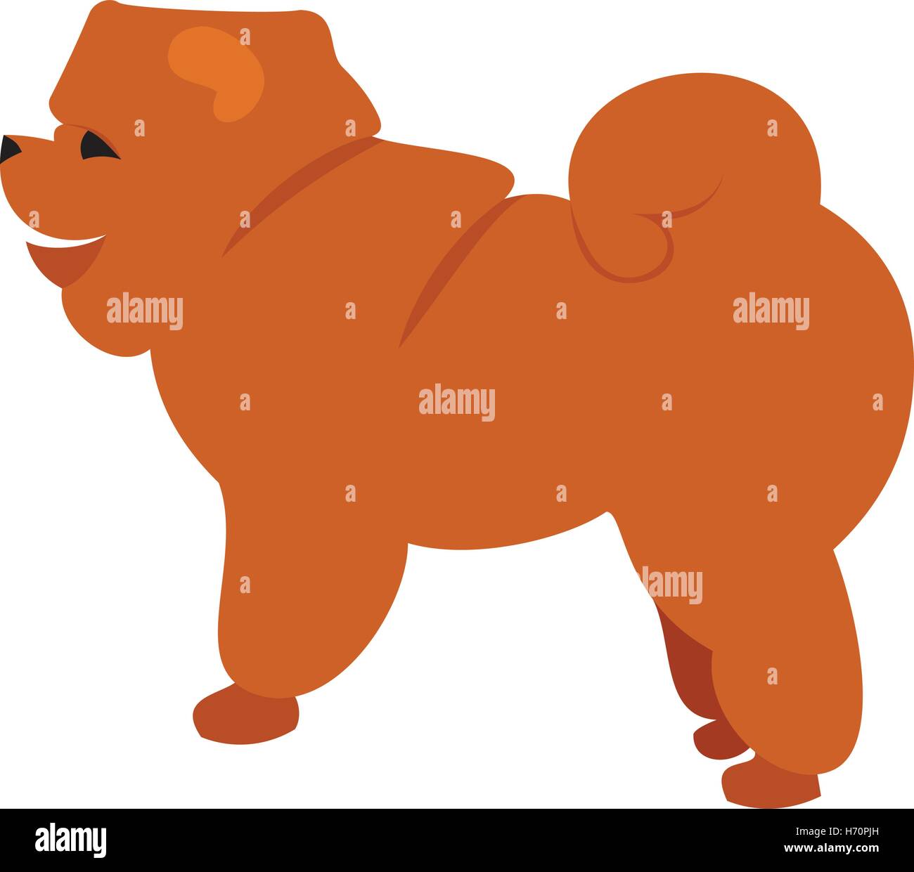 Flat pet chow chow and dog breed vector, puppy doggy character ...